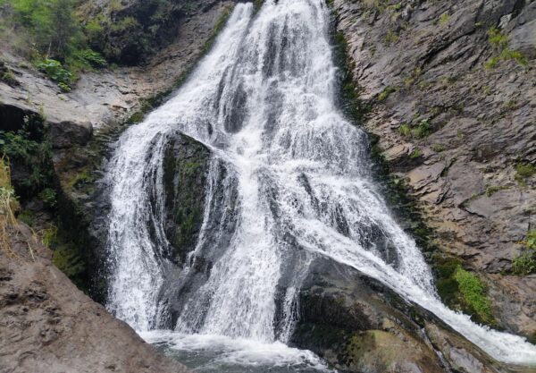 Colecție de videoclipuri – MHF Photography